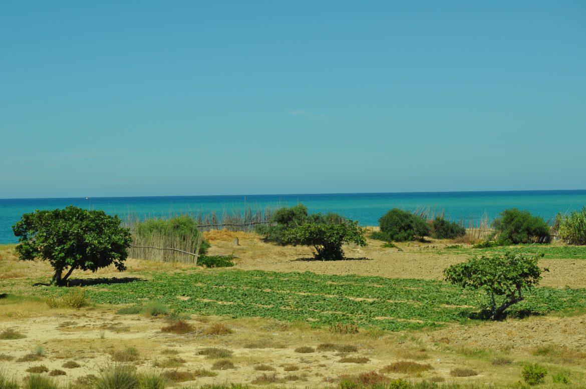 A Moroccan Road Trip | Tea In Tangier